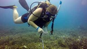 Invasive Species Monitoring - The Coral Tribe